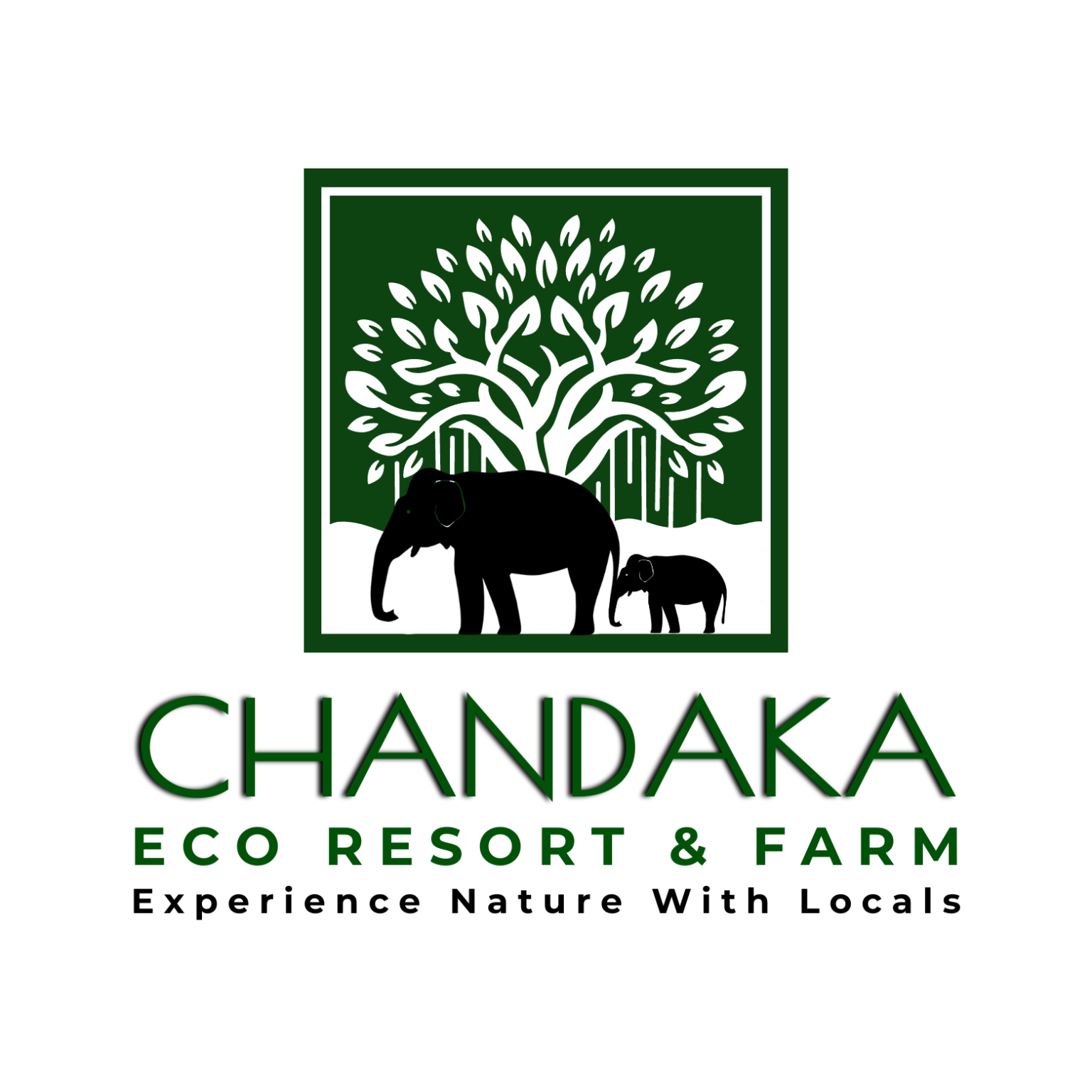 Chandaka eco resort